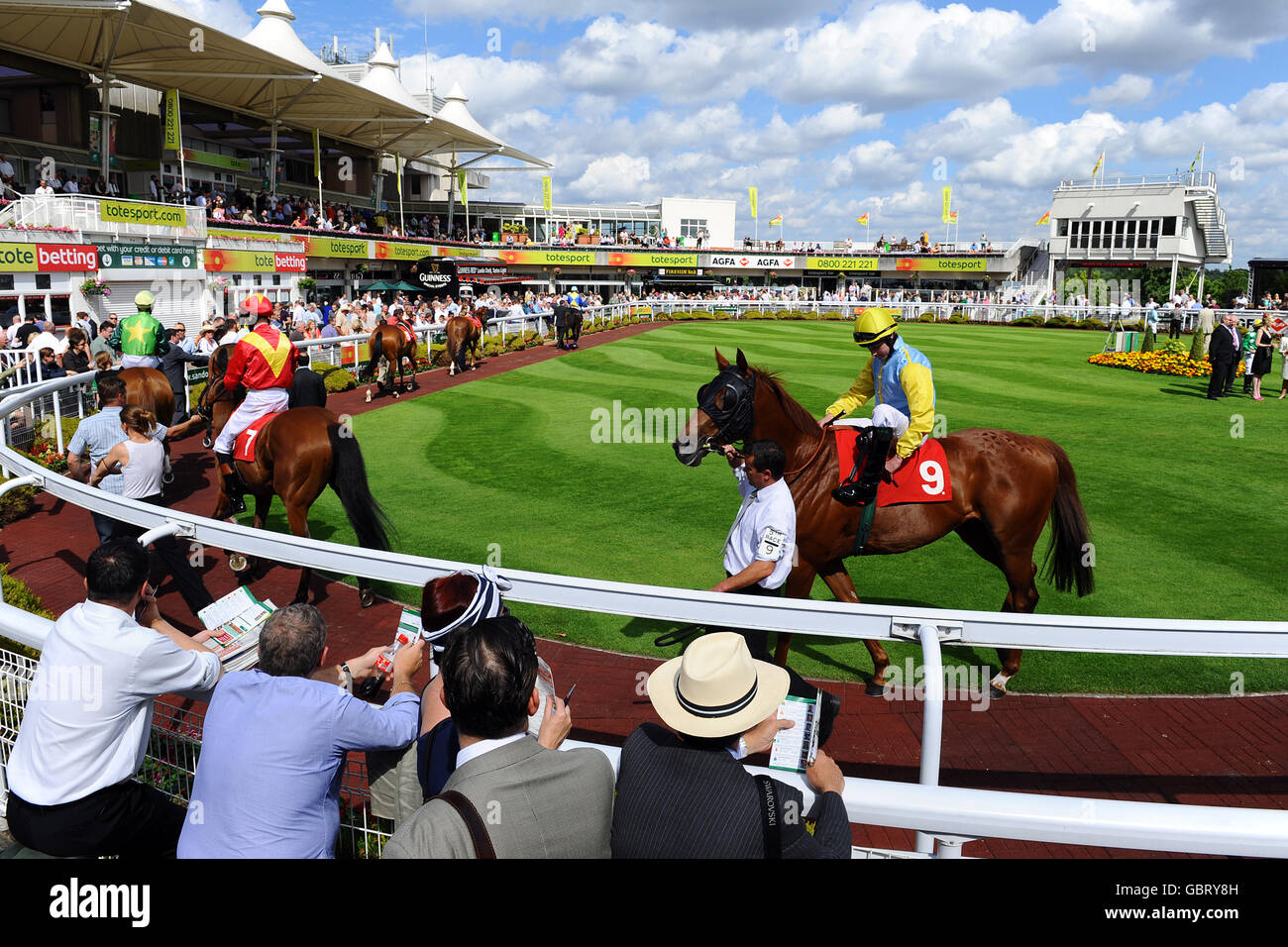 Horse Racing - Totepool Irish Day - Sandown Park Stock Photo - Alamy