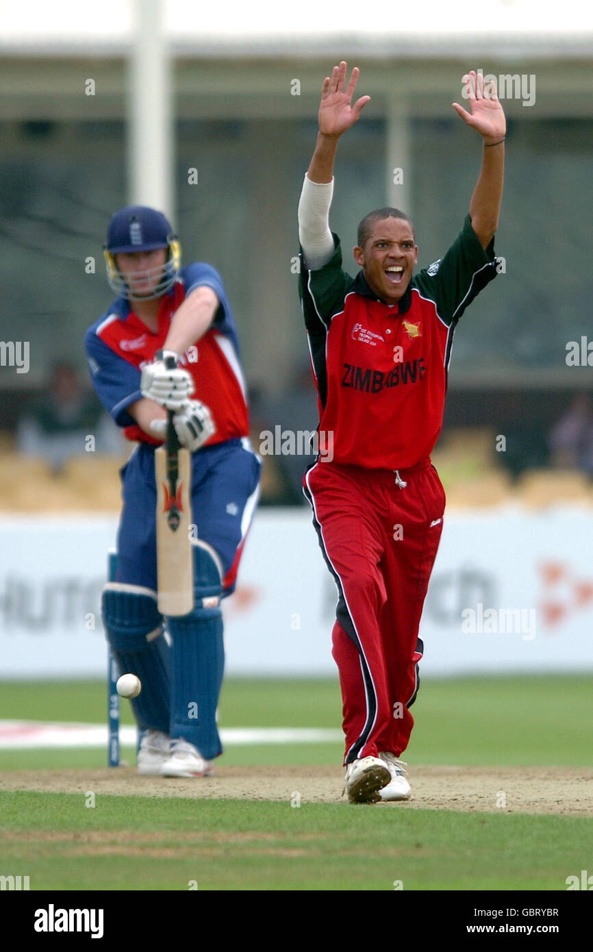 Rainsford hi-res stock photography and images - Alamy