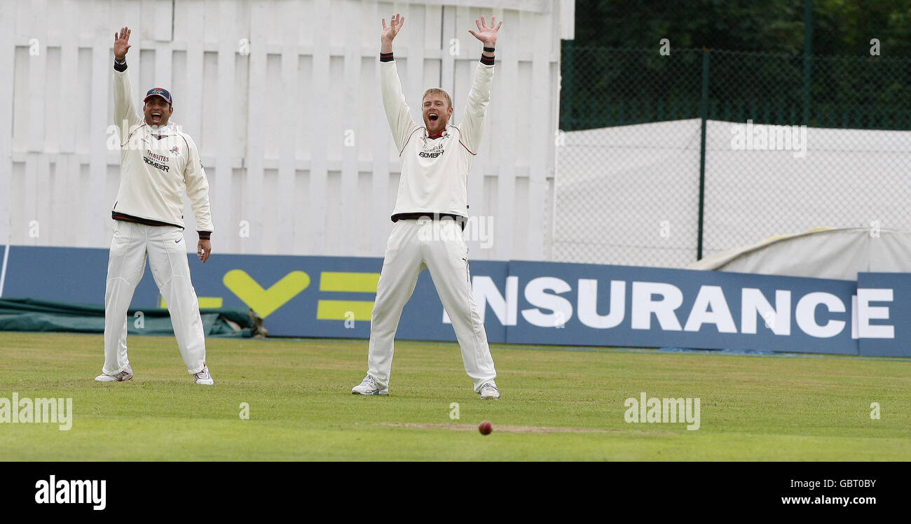 County cricket match shout hi-res stock photography and images - Alamy
