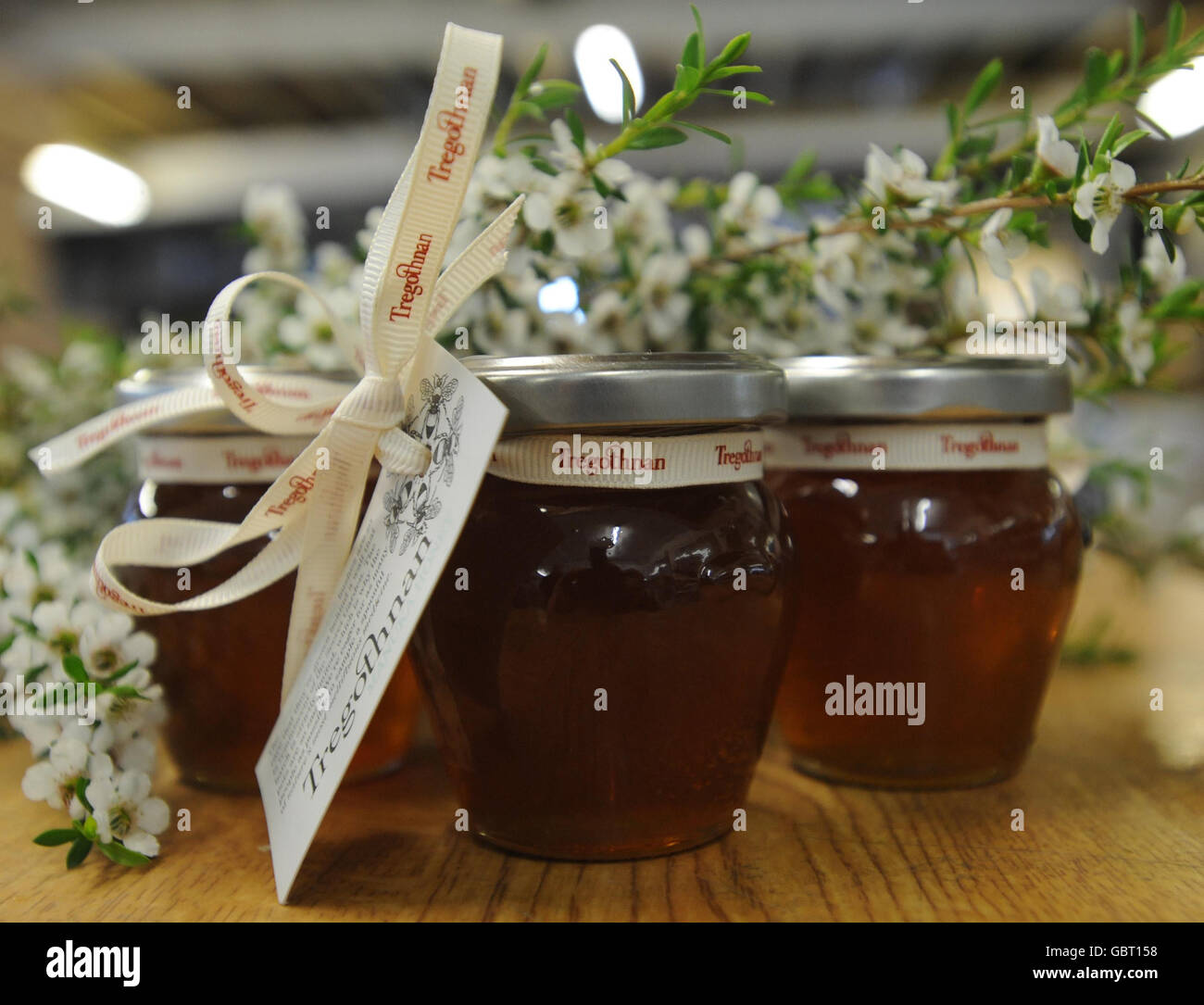 Leptospermum scoparium honey hi-res stock photography and images - Alamy