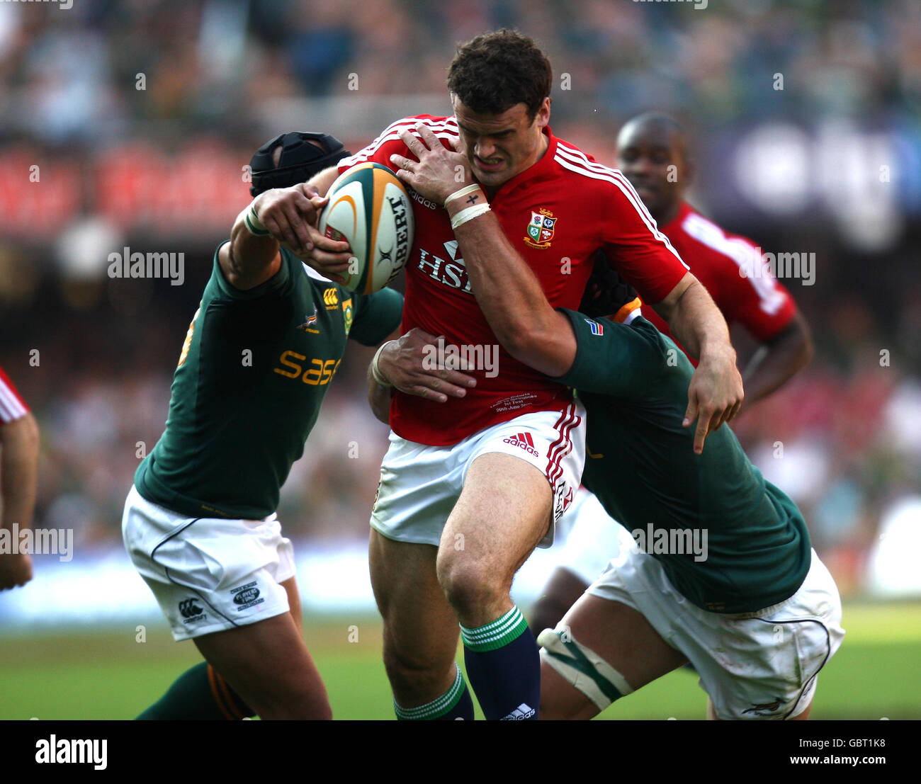 Springbok rugby hi-res stock photography and images - Alamy
