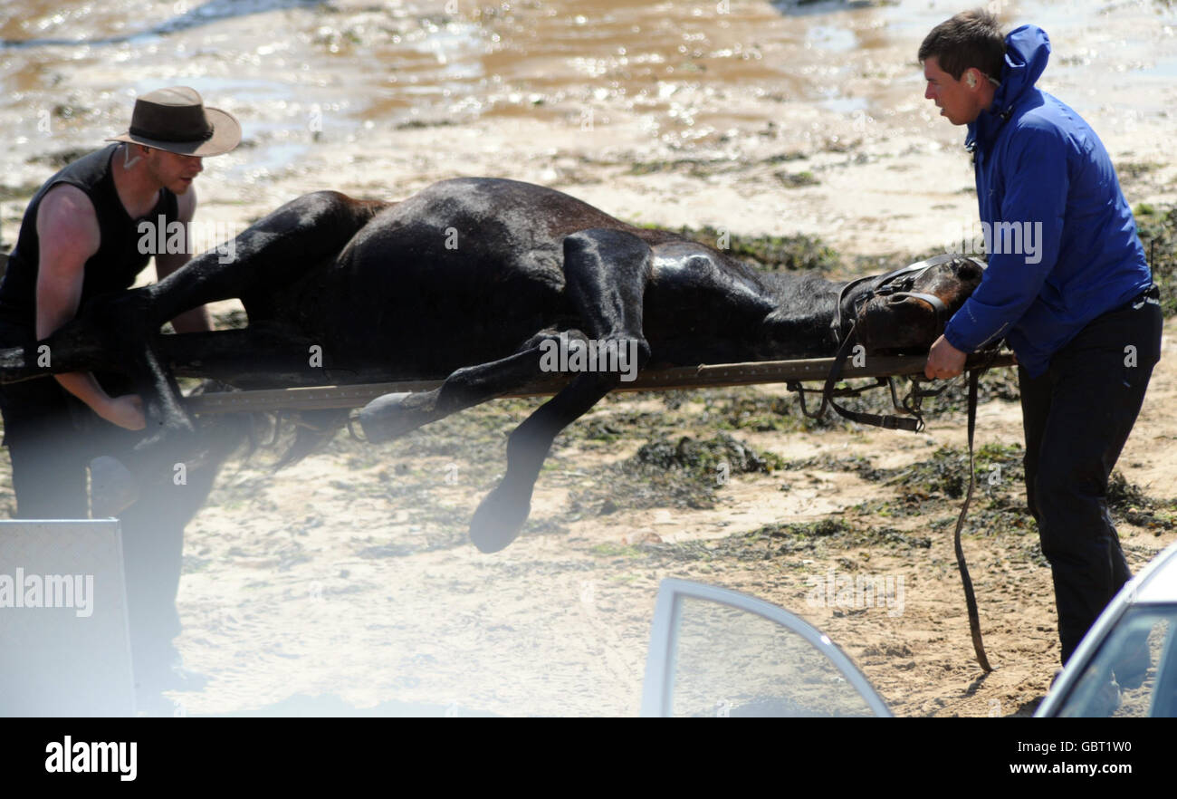 Robin hood movie beach hi-res stock photography and images - Alamy