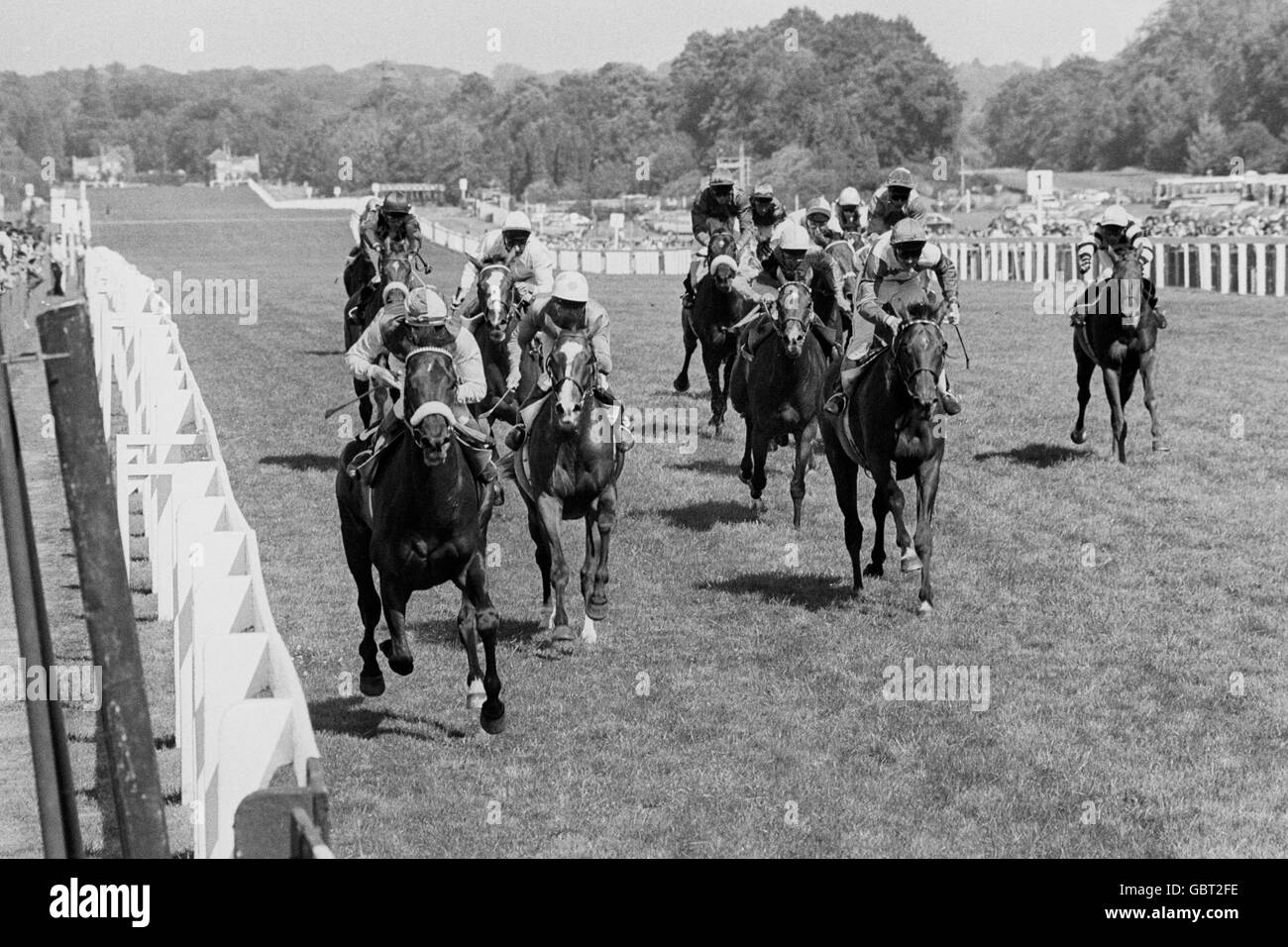 Won the king george vi queen elizabeth diamond at ascot Black and White ...