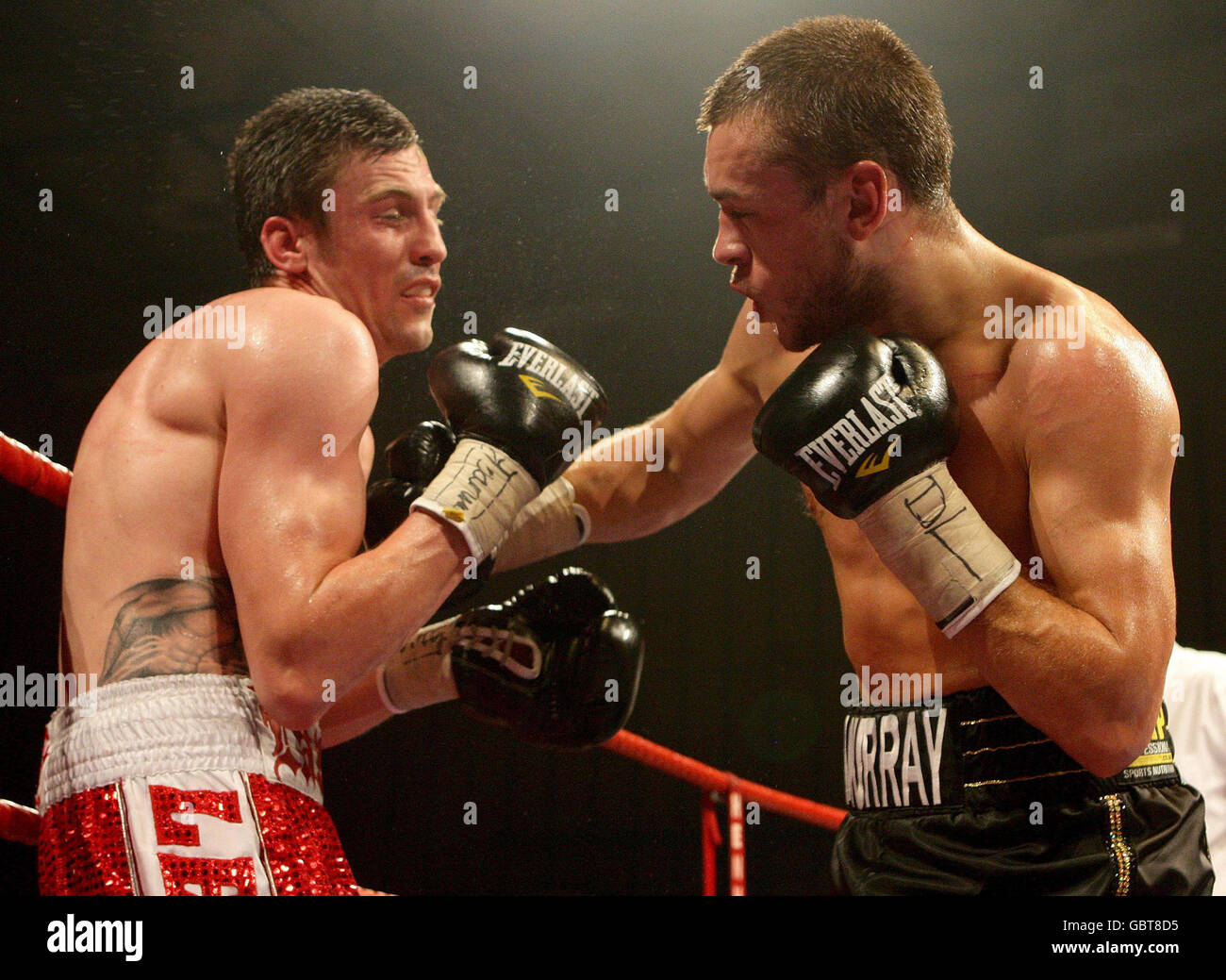 British English Boxer Boxers High Resolution Stock Photography and ...