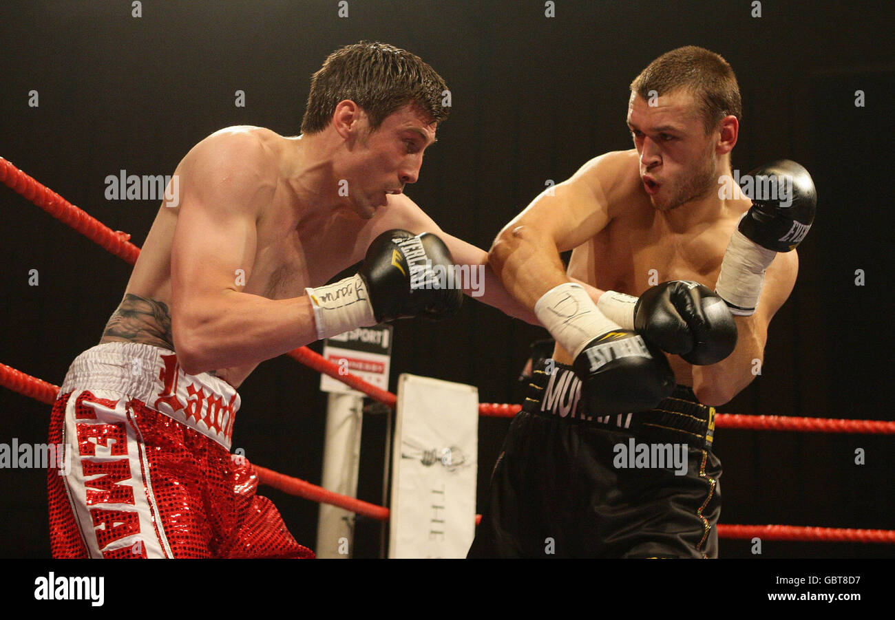 British English Boxer Boxers High Resolution Stock Photography and ...