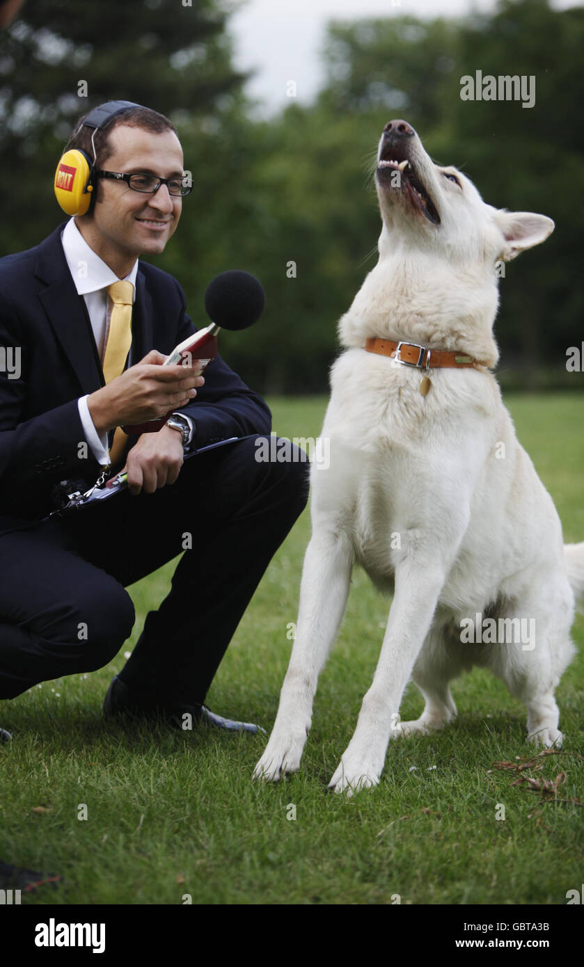 German Shepherd Daz Lightning breaks the record for the world's loudest ...