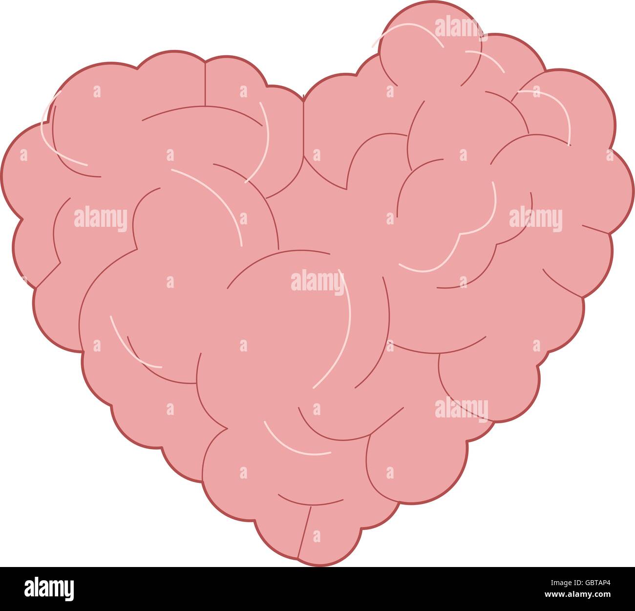 Heart Anatomy Painting Stock Vector Images - Alamy