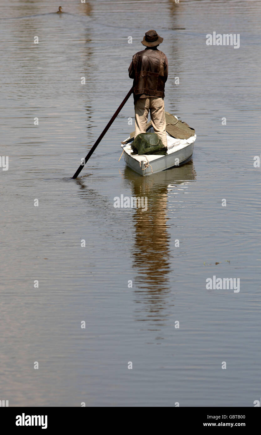 Peter carter eel hi-res stock photography and images - Alamy