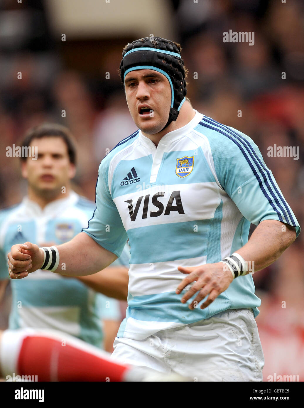 Rugby strapping strap visa addidas hi-res stock photography and images ...