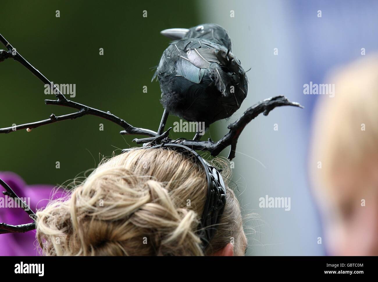 A bird forms part of a hat worn by a lady at Ascot Racecourse ...