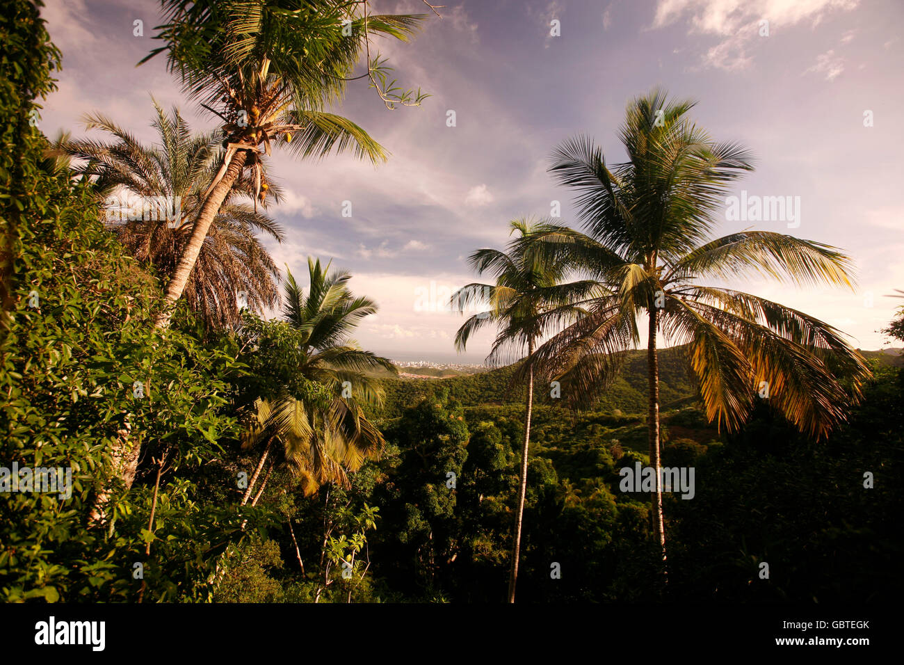 the landscape near the town of La Asuncion on the Isla Margarita in the ...
