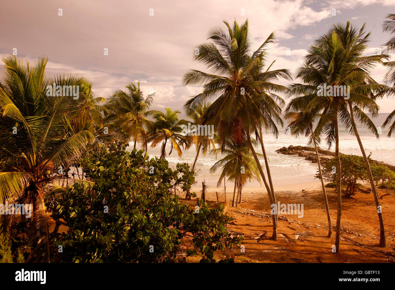 the Coast at the beach in the town of Cuacuco on the Isla Margarita in ...