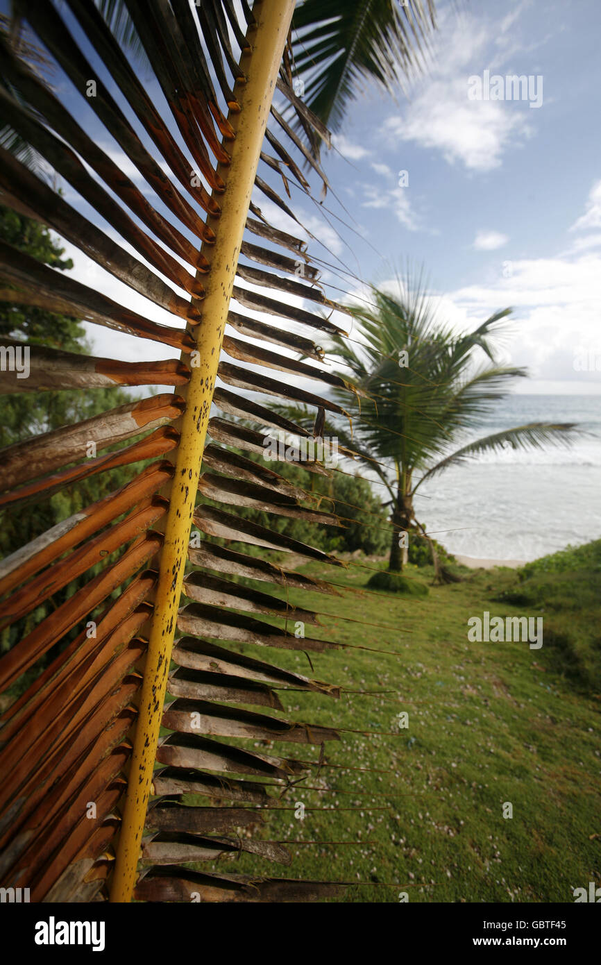 the Coast at the beach in the town of El Cardon on the Isla Margarita ...