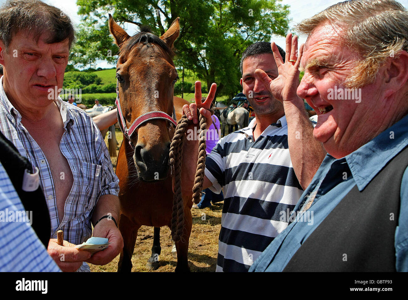 Spancil Hill Horse fair Stock Photo - Alamy