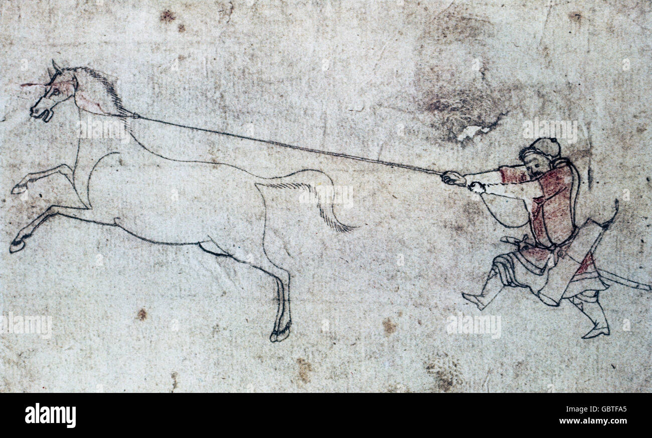 hunt, wild horses, trapping of horses, man is catching a horse with ...