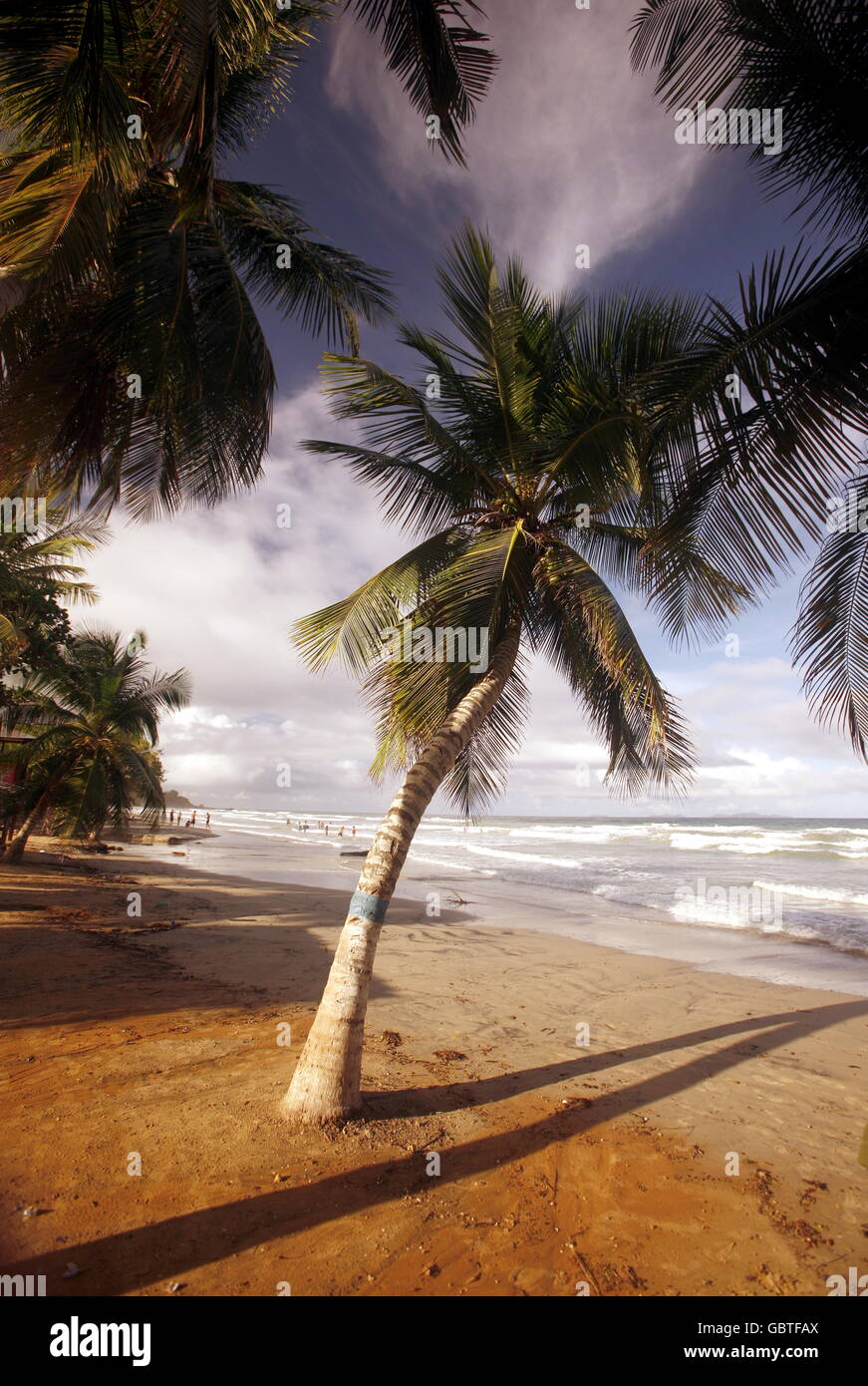 Guacuco hi-res stock photography and images - Alamy