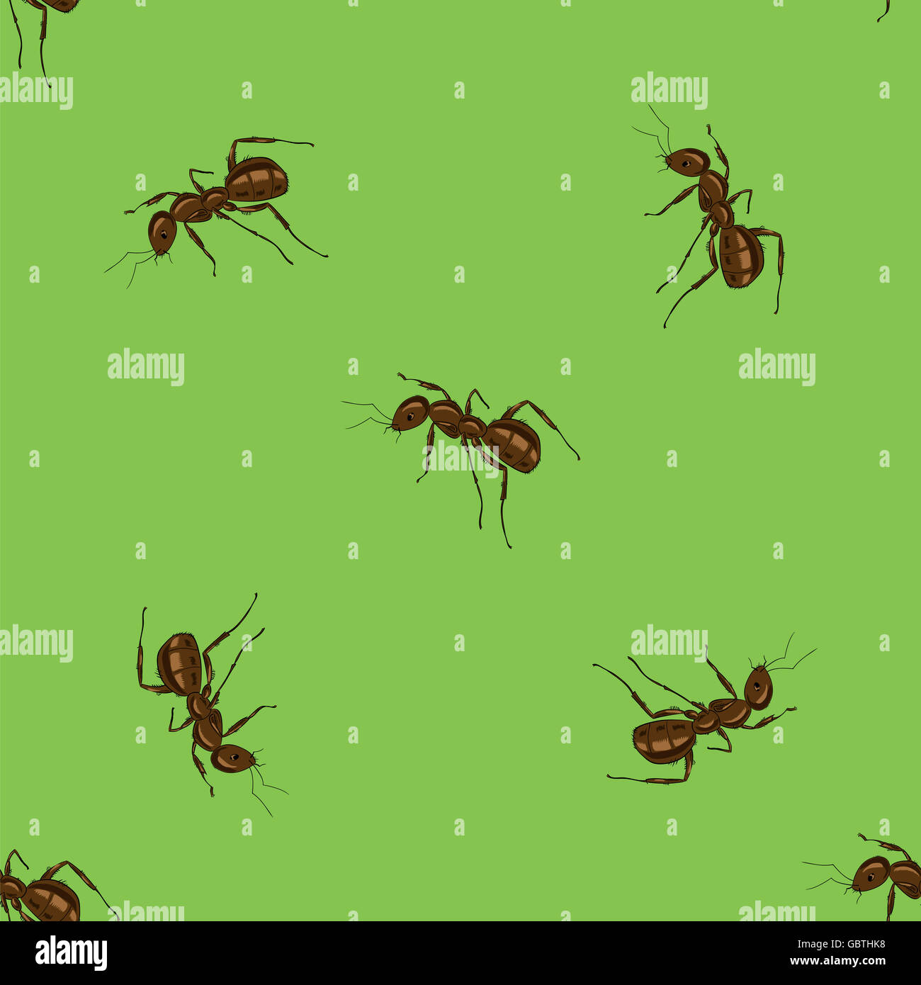 Ant path pattern hi-res stock photography and images - Alamy
