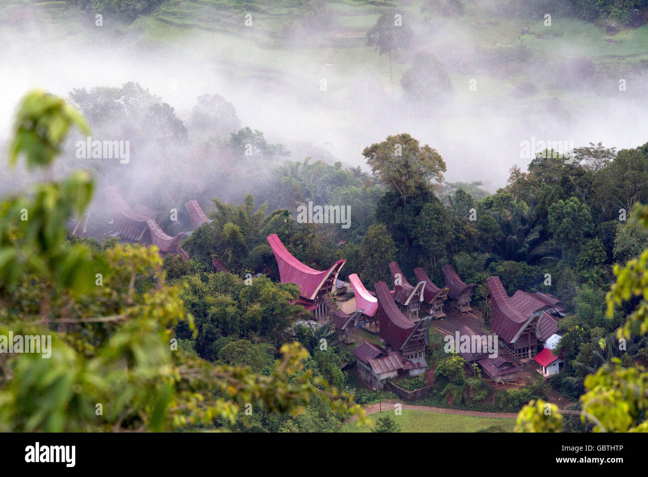 Lolai toraja hi-res stock photography and images - Alamy
