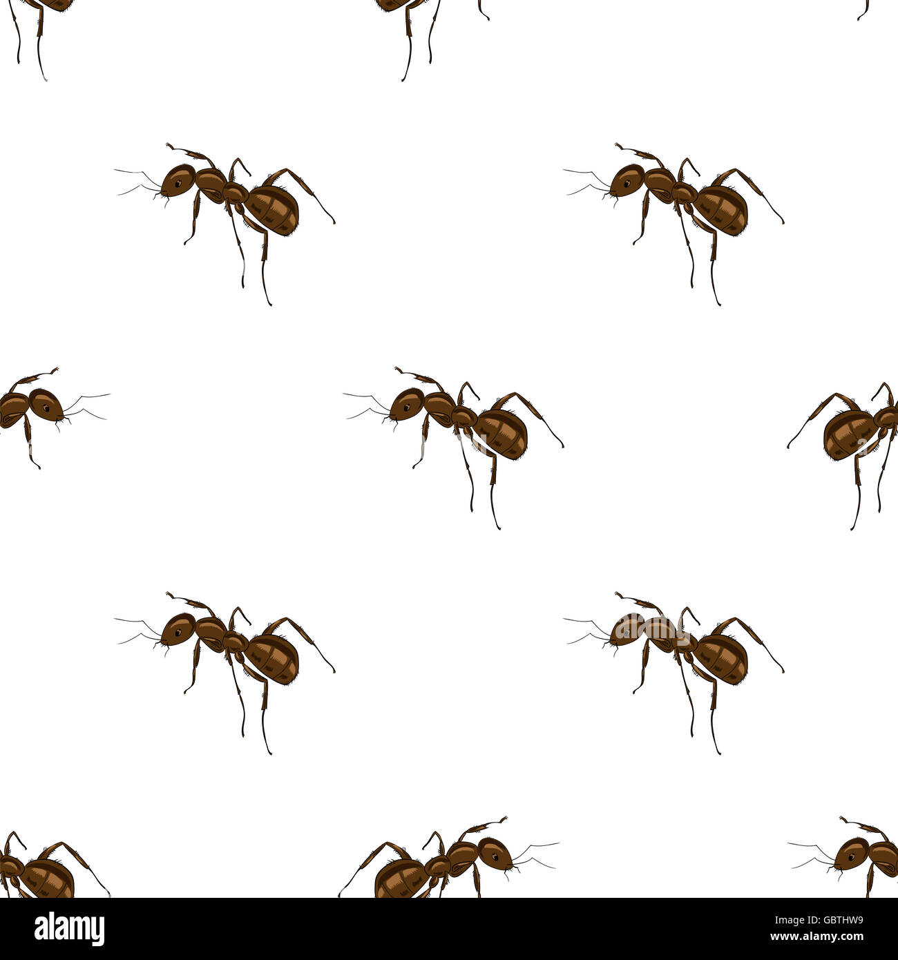 Insect propagation hi-res stock photography and images - Alamy