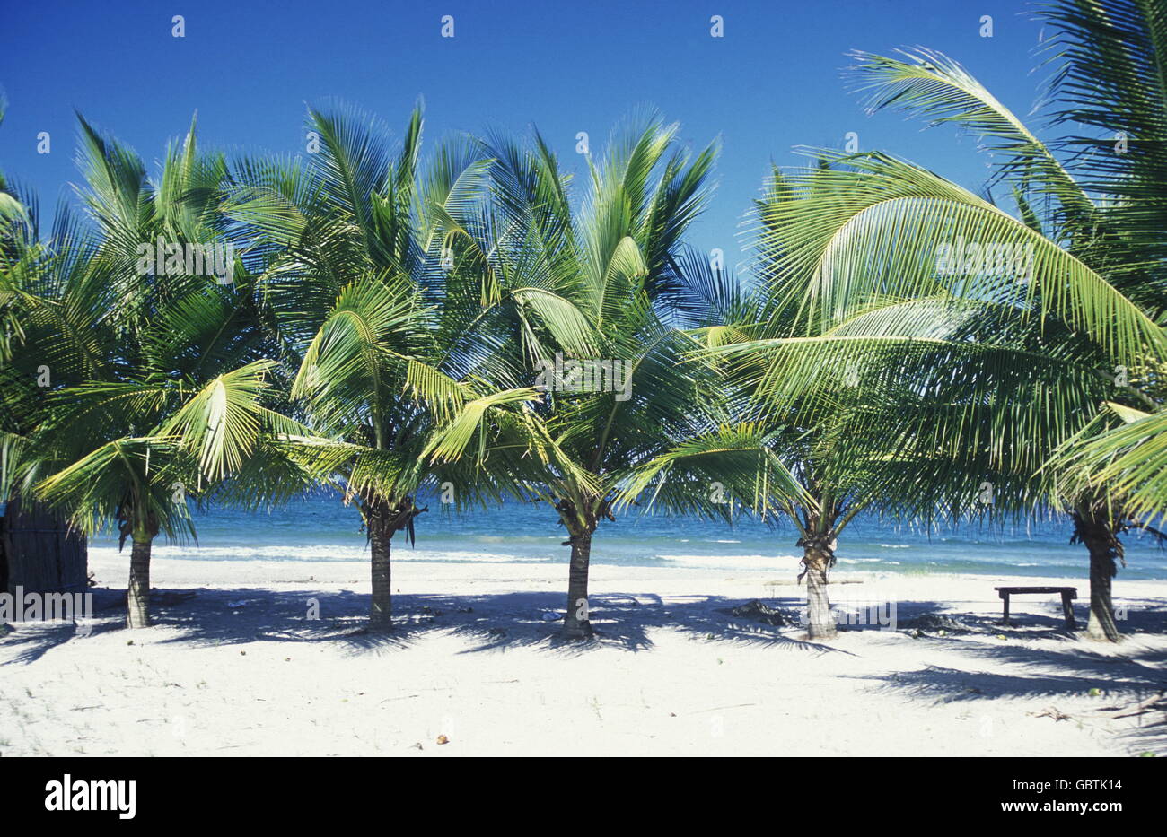 the Beach of Tela near San Pedro Sula on the caribian sea in Honduras ...