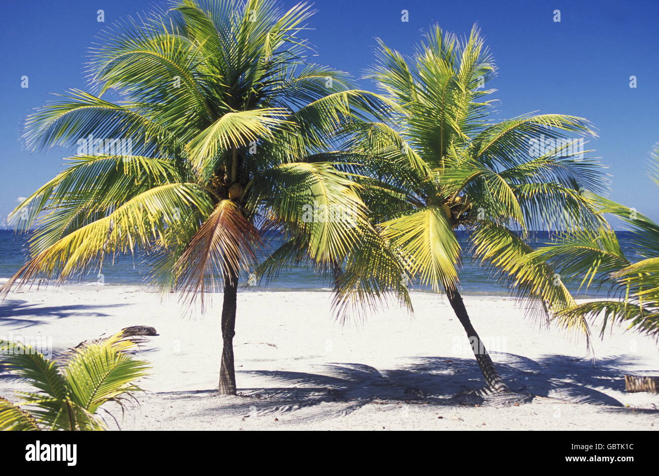 Tela beach tela honduras hi-res stock photography and images - Alamy