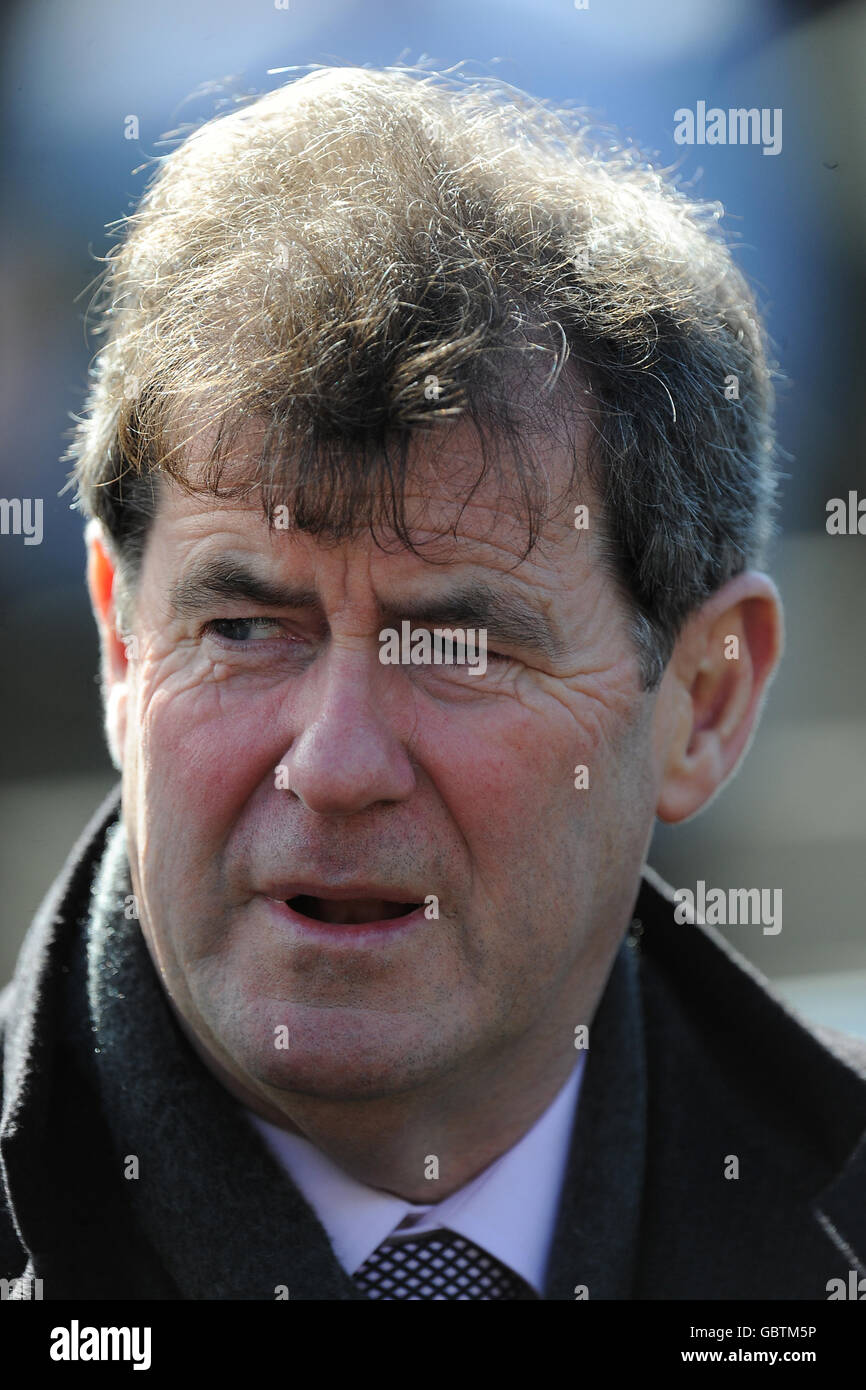 John p mcmanus horse hi-res stock photography and images - Alamy