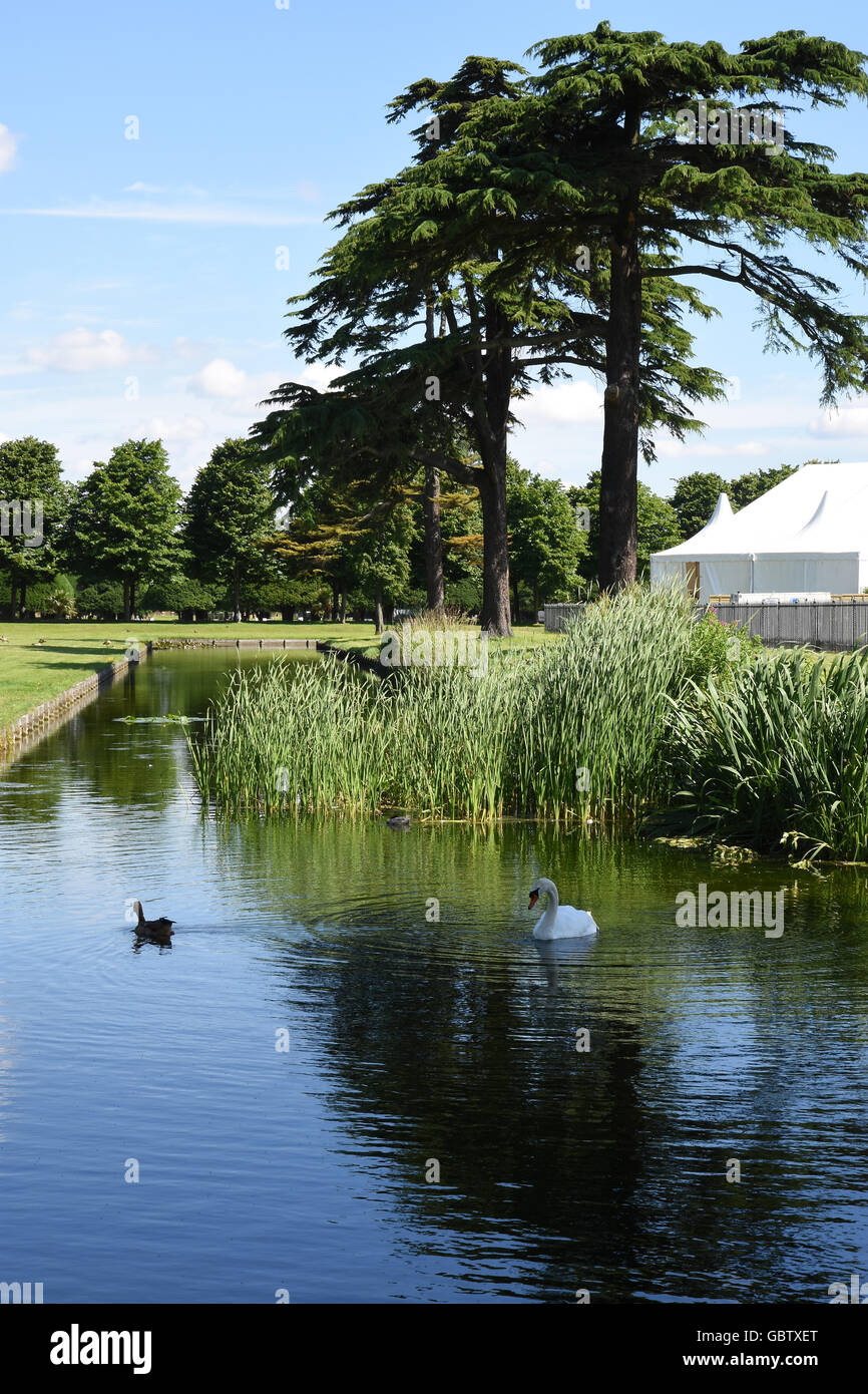 Hampton Court Palace Grounds,Hampton Court,Richmond Upon Thames,Greater ...