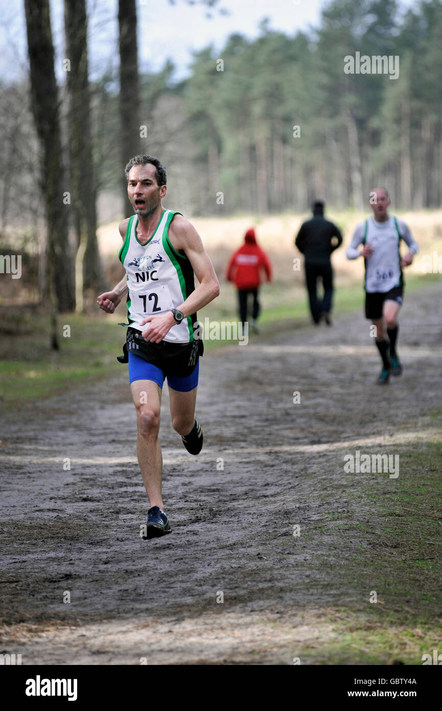 men running through forest clearing Stock Photo - Alamy