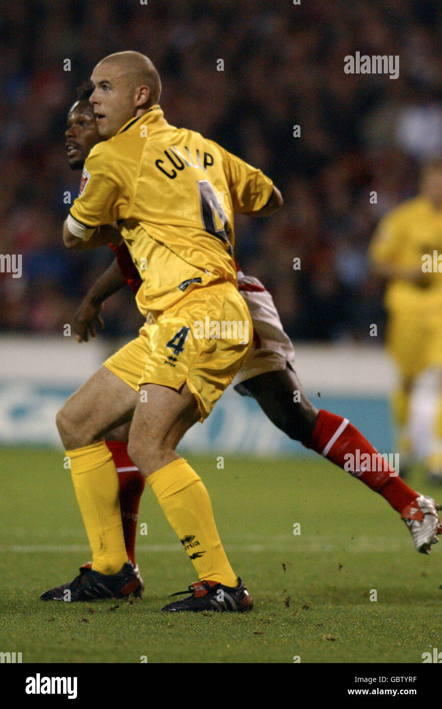 Danny cullip forest hi-res stock photography and images - Alamy