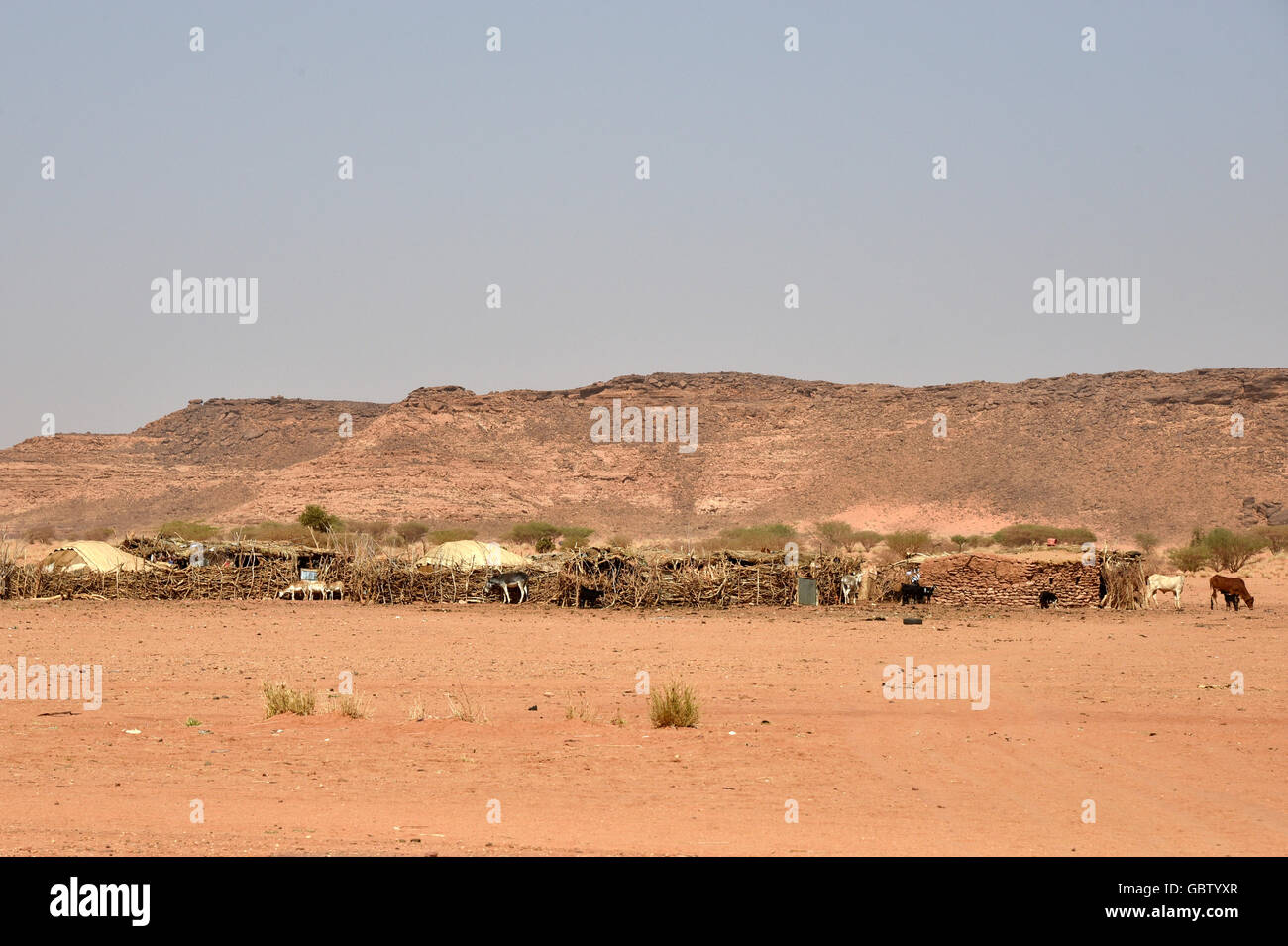 Africa, Sudan, nomad hut in the desert Stock Photo - Alamy