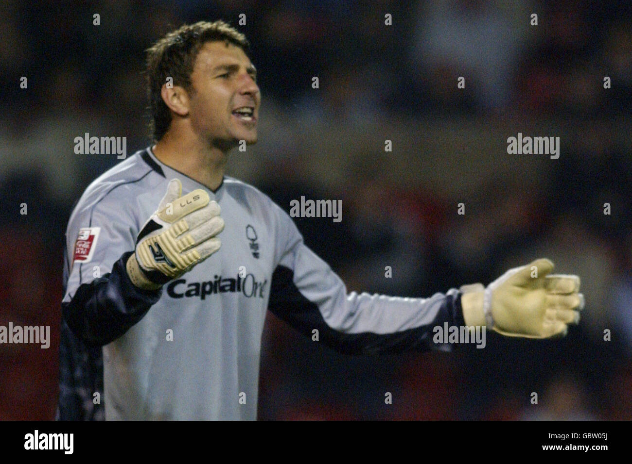 Paul gerrard forest hi-res stock photography and images - Alamy