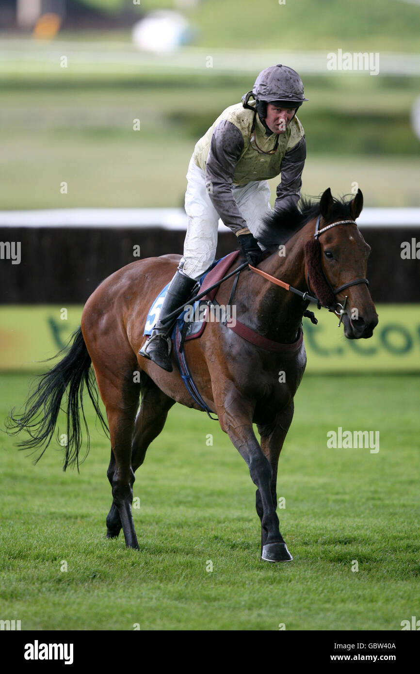 Horse racing yorkshire post ladies day wetherby racecourse hi-res stock ...