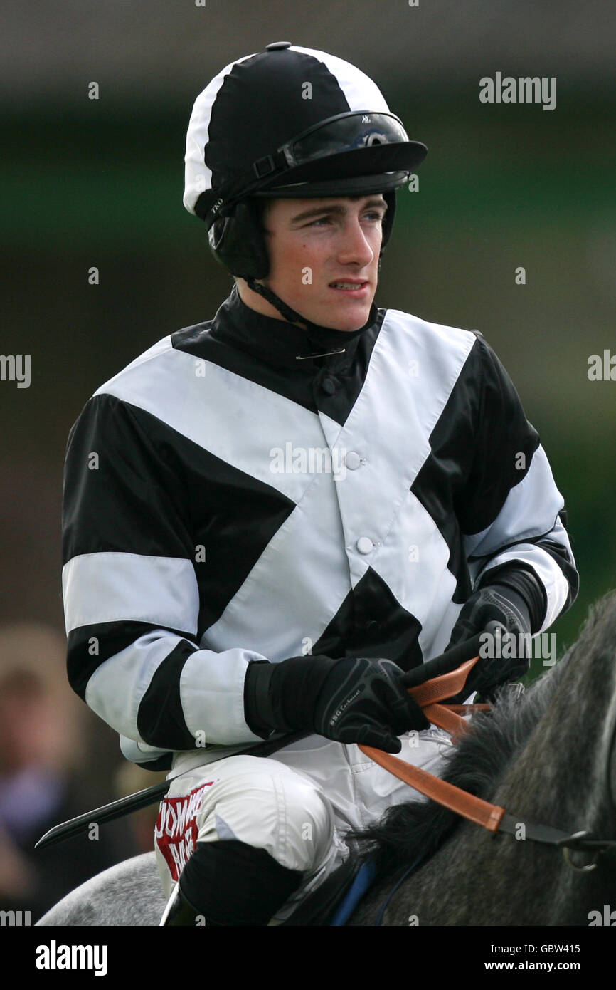 Horse racing yorkshire post ladies day wetherby racecourse hi-res stock ...