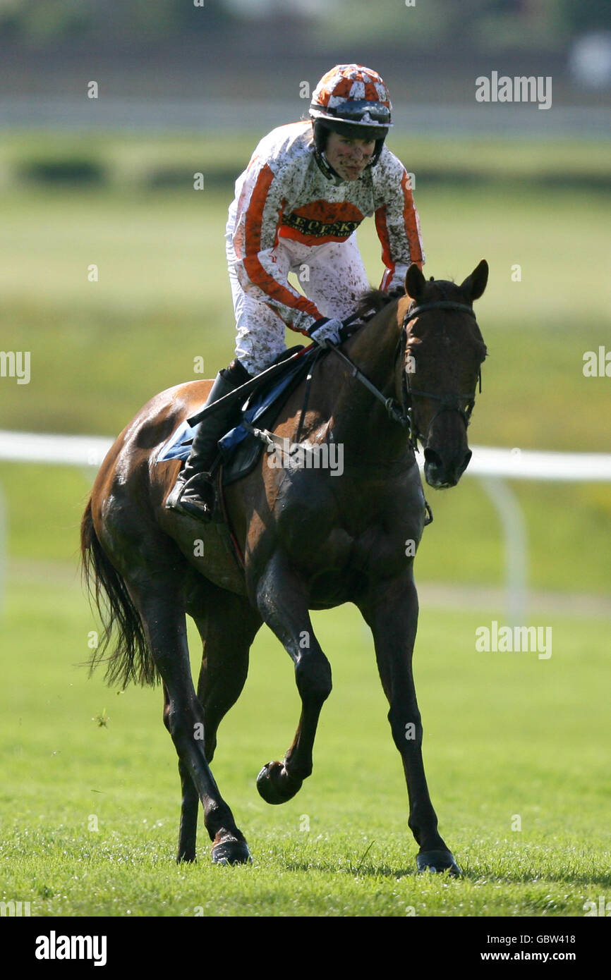 Horse racing yorkshire post ladies day wetherby racecourse hi-res stock ...