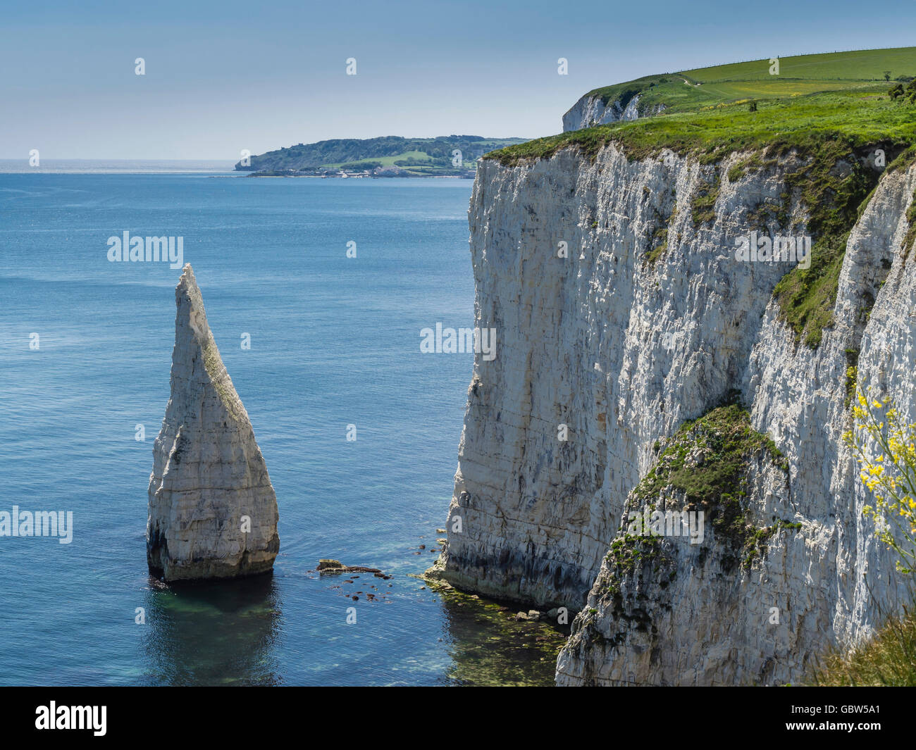 The Chalk Cliffs of Ballard Down with The Pinnacles Stack in Swanage ...