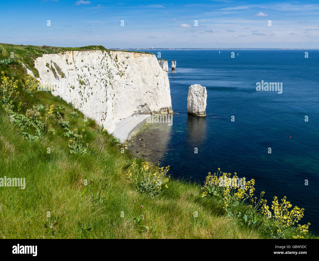 The Chalk Cliffs of Ballard Down with The Pinnacles Stack in Swanage ...
