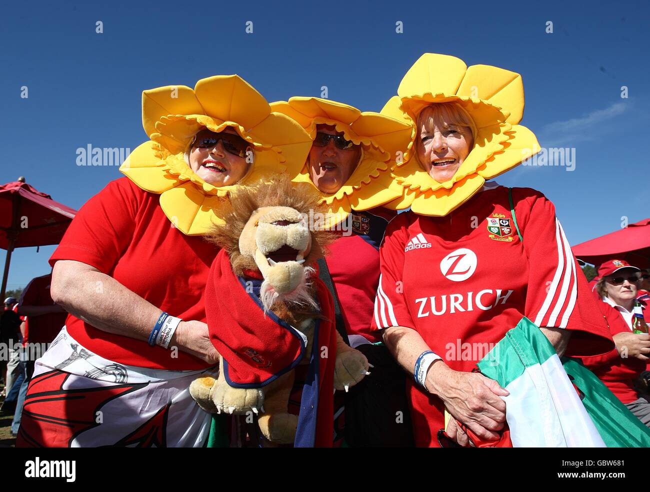 Lions tour rugby fans hi-res stock photography and images - Alamy