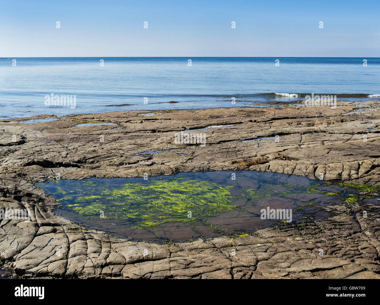 Rock Pool and Limestone Ledges in Kimmeridge Bay, Purbeck, Dorset ...