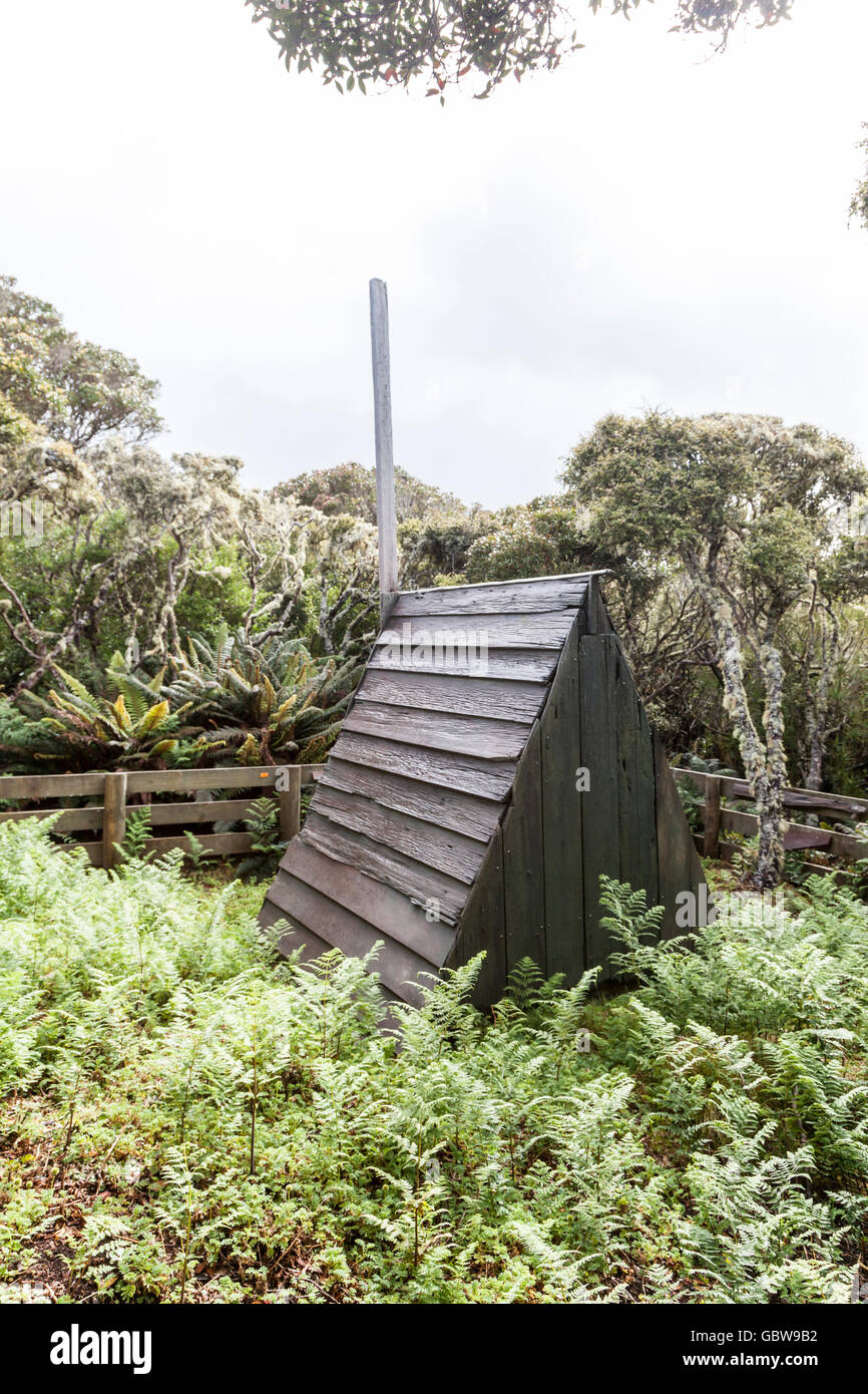 The historic Stella Hut at Enderby Island, Auckland Islands, New ...