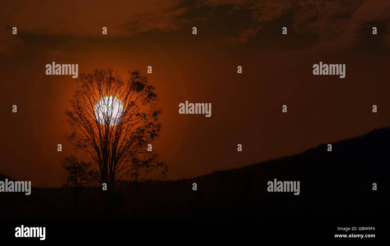 Silhouette black shadow tree shape and hill with big sun, fancy or ...