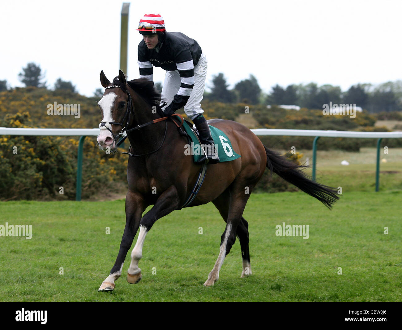 Horse racing great yarmouth racecourse hi-res stock photography and ...