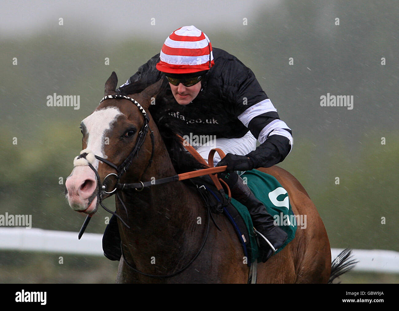 Jockey tom queally hi-res stock photography and images - Alamy