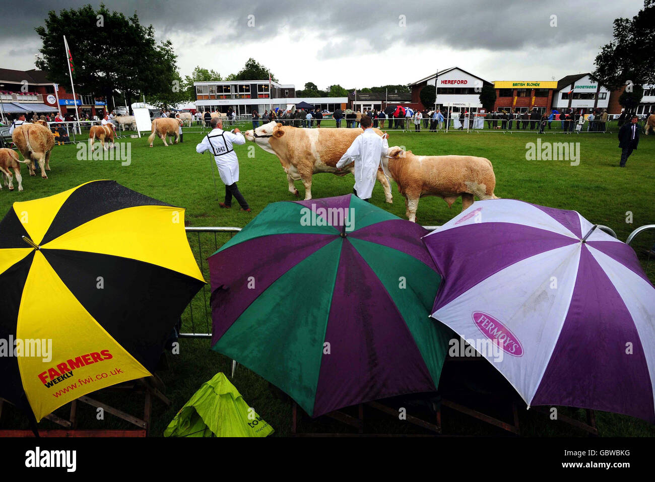 The Royal Show Stock Photo - Alamy