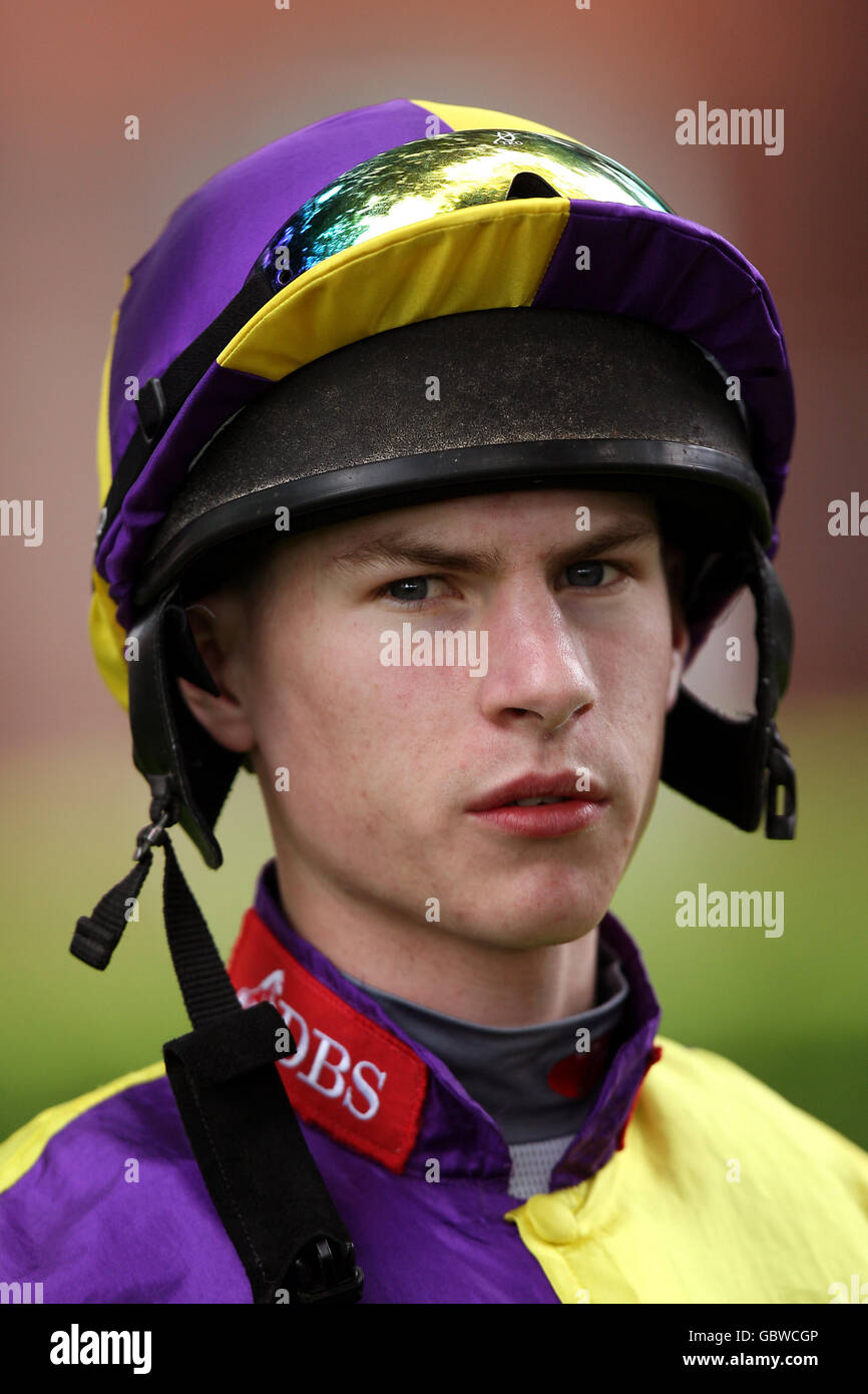 Horse Racing - Haydock Park Racecourse Stock Photo - Alamy