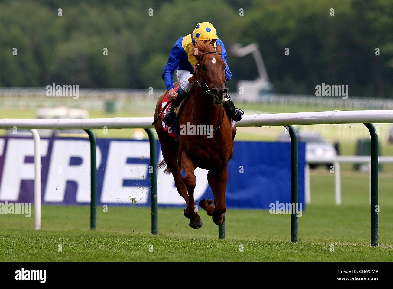 Horse Racing - Haydock Park Racecourse Stock Photo - Alamy