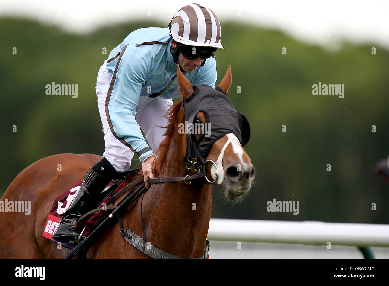 Horse Racing - Haydock Park Racecourse Stock Photo - Alamy