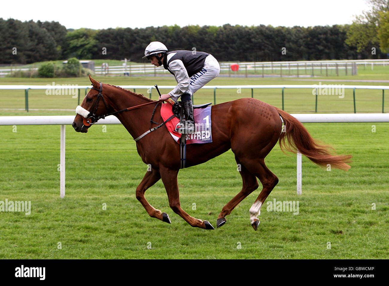 Horse Racing - Haydock Park Racecourse Stock Photo - Alamy