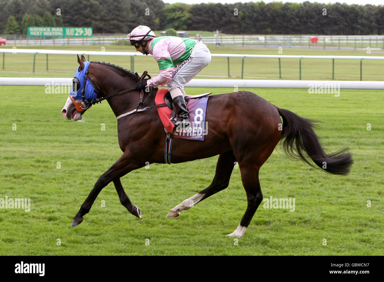 Horse Racing - Haydock Park Racecourse Stock Photo - Alamy