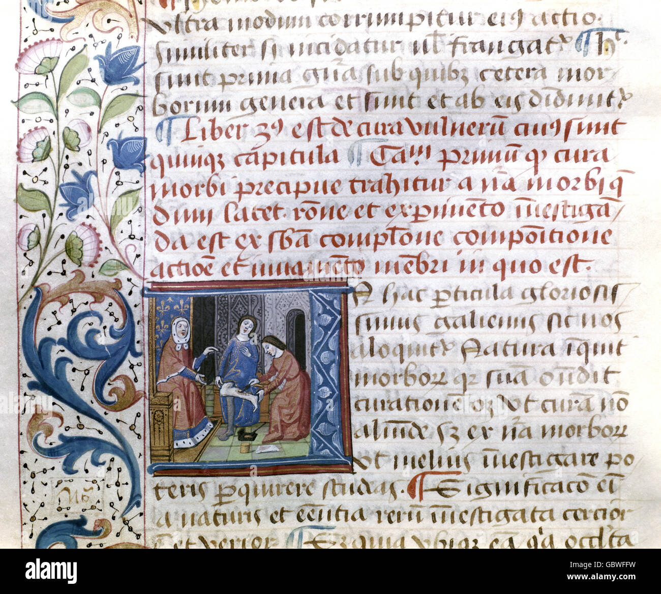 medicine, treatment of a leg injury, illumination, from "Opera varia ...