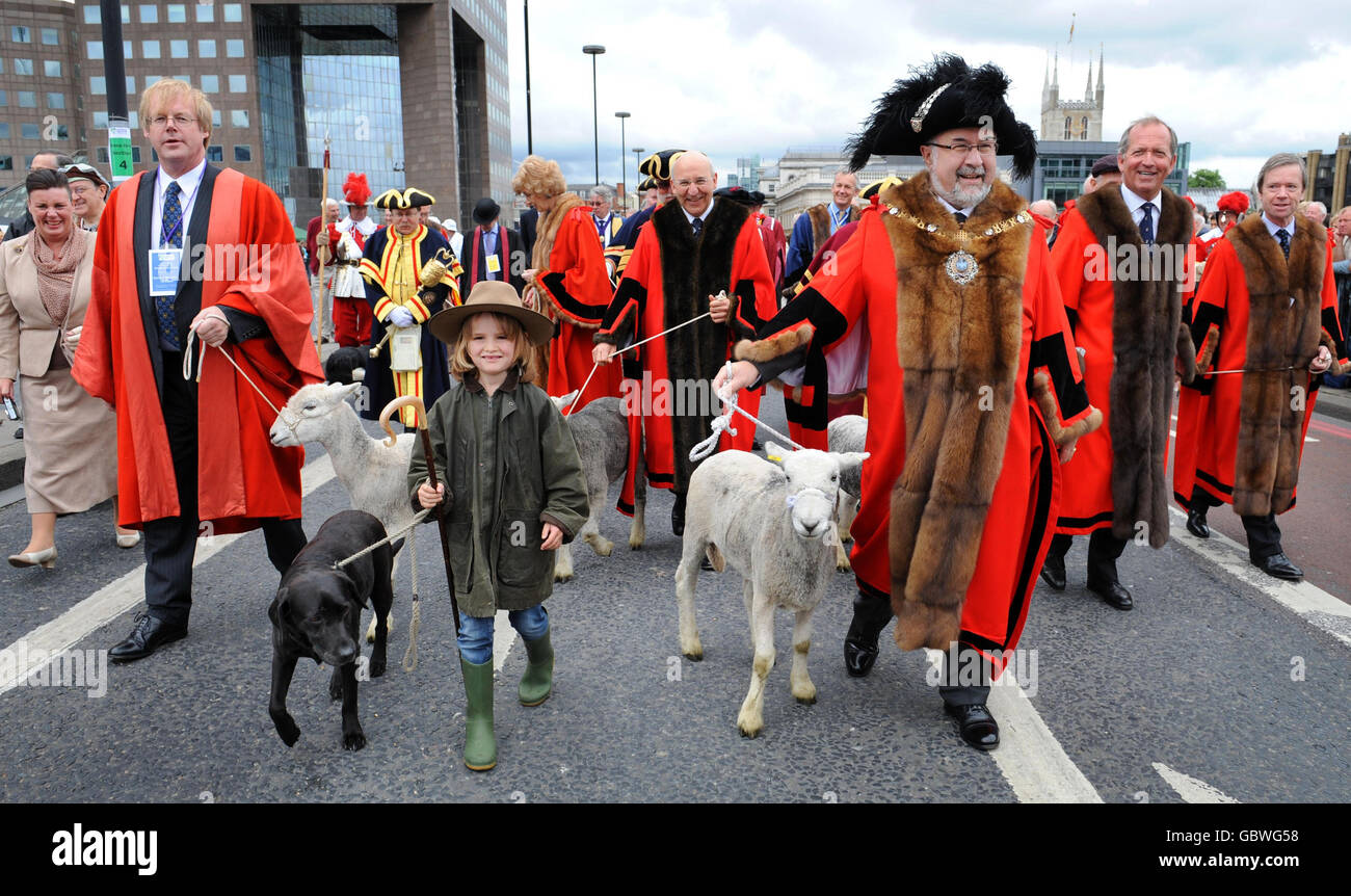 Sheep-herding over London Bridge Stock Photo - Alamy